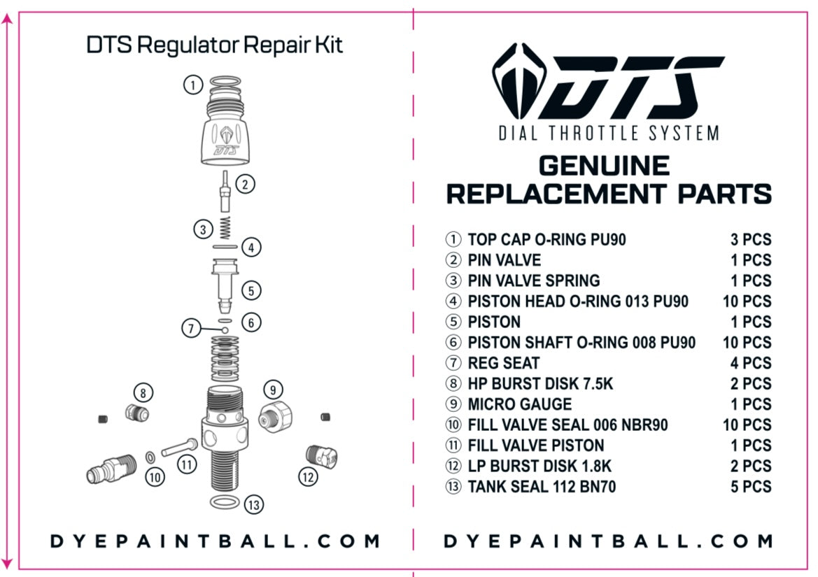 DTS Regulator Repair Kit – DYE Asia